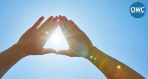 What is a Claims Triangle? IBNR, Claims Lag and Insurer Performance ...